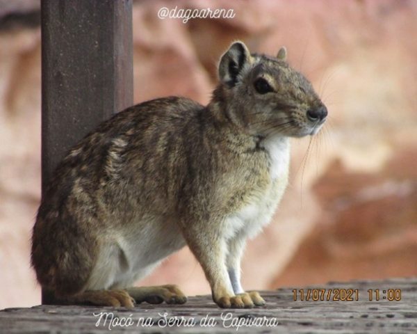 NAHum- Alfabetização - História do Mocó